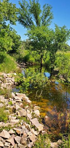 Koch: At Pipestone National Monument the earth humbly and quietly gives ...