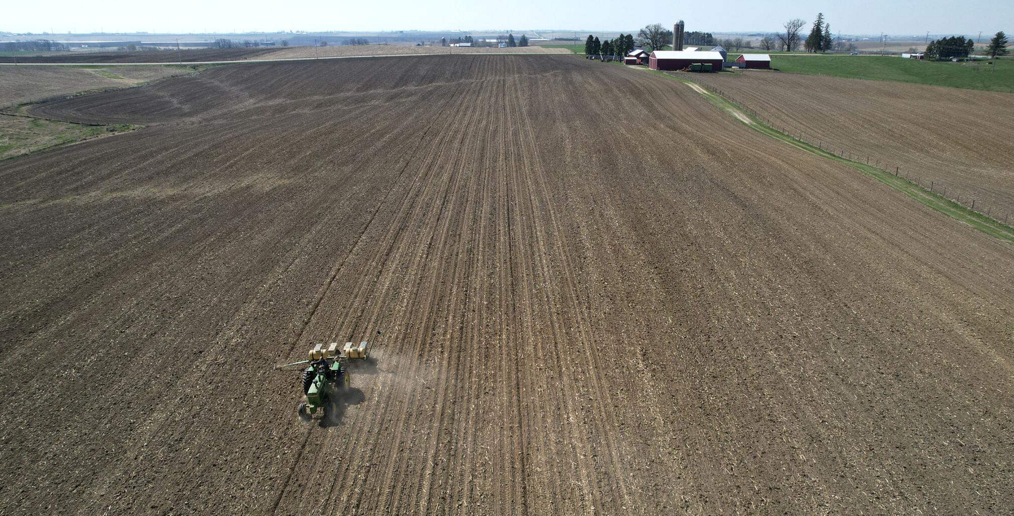 Promising Peosta-area start | Tri-state News | telegraphherald.com