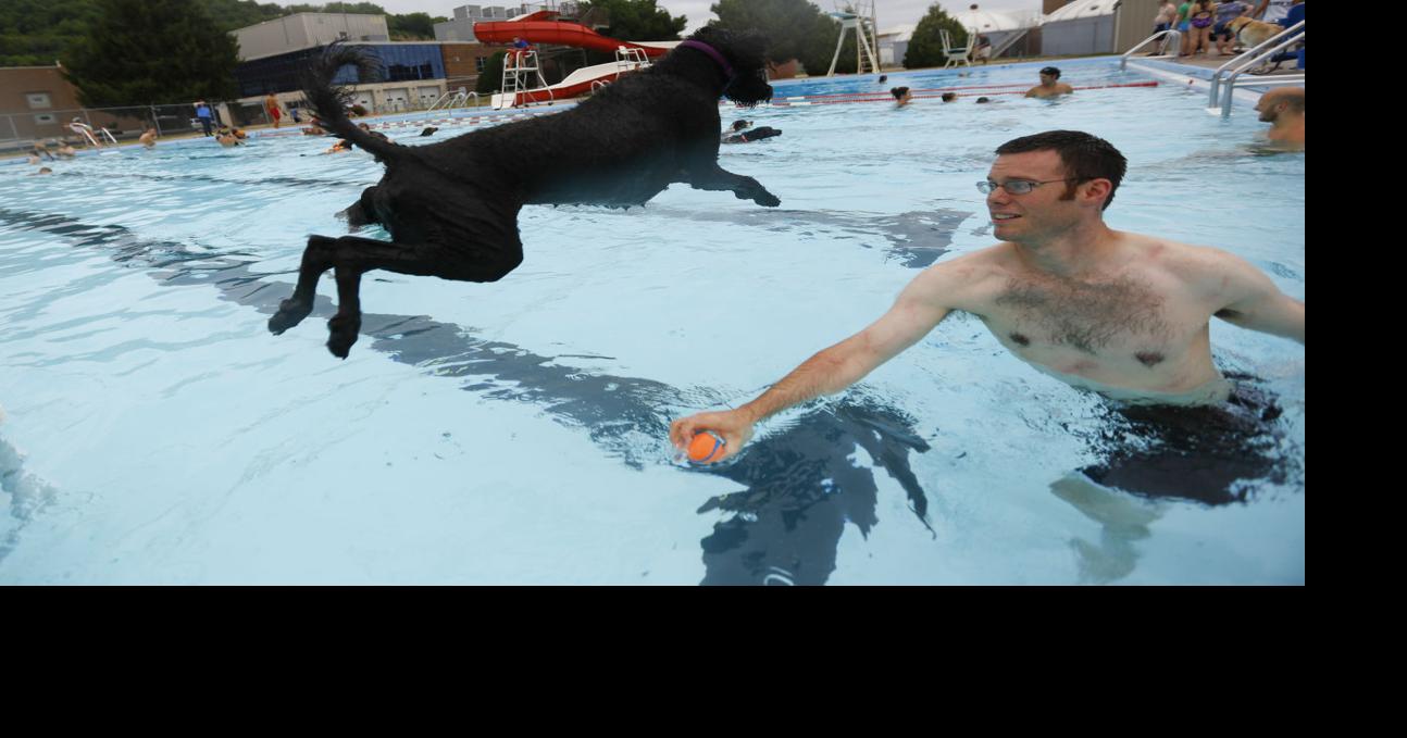 'Doggie Dip' set for Sunday at Sutton Pool | Dubuque News ...