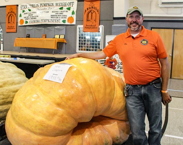 Peosta man claims victory in area pumpkin weigh-off competition | Tri ...