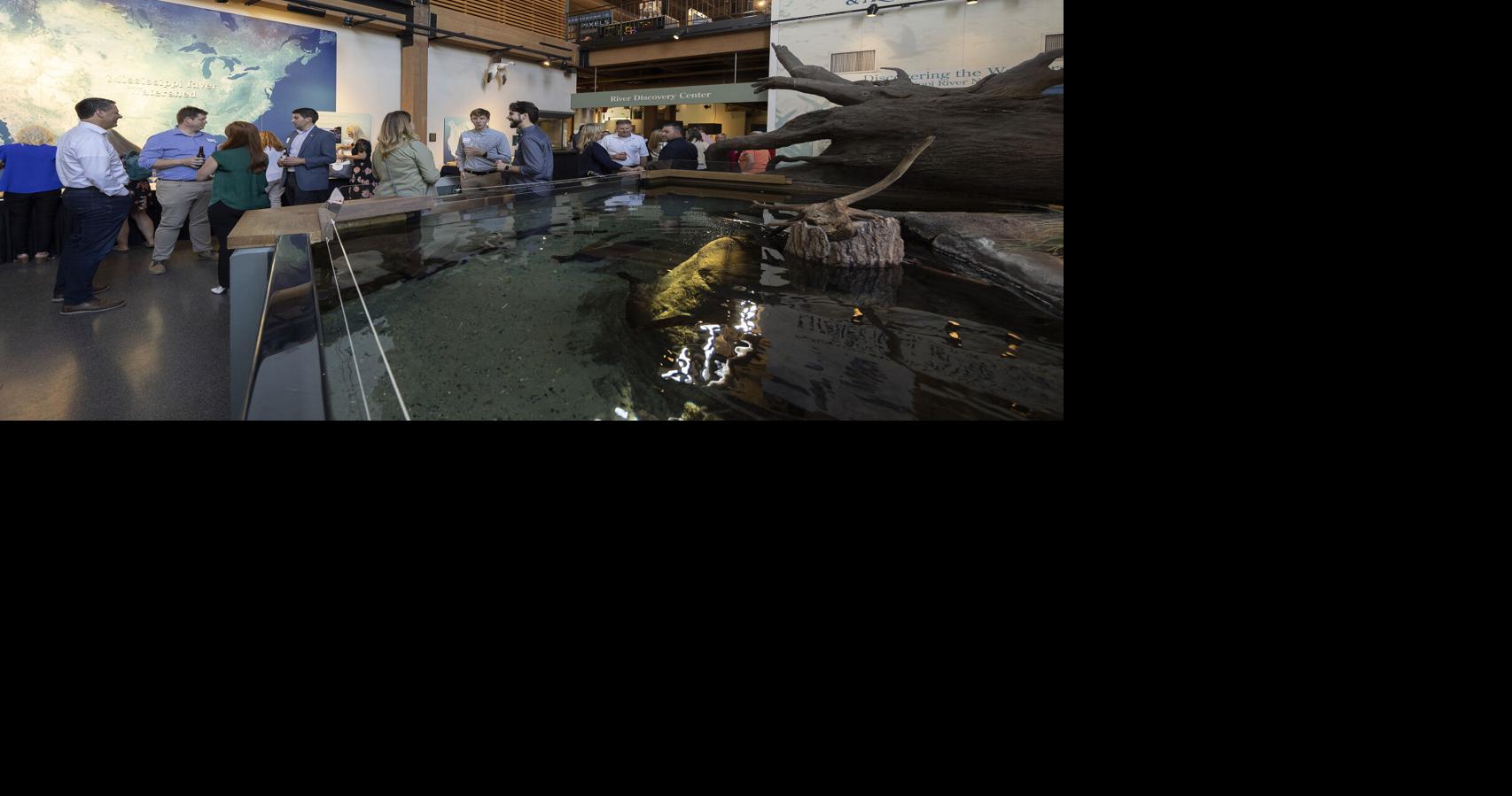 Business After Hours | | telegraphherald.com