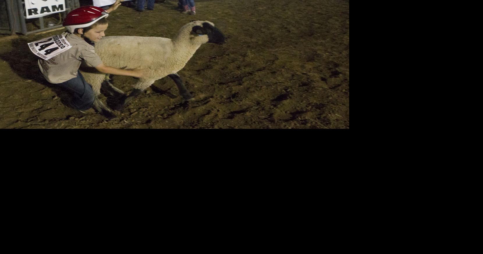 Jackson County Pro Rodeo | Tri-state News | telegraphherald.com