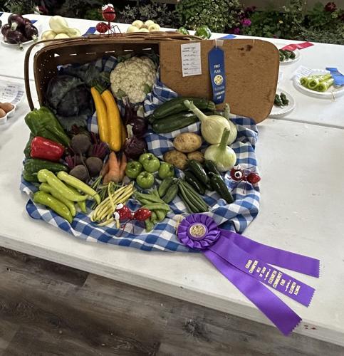 'Keep things rolling:' Elizabeth fair draws thousands with busy ...