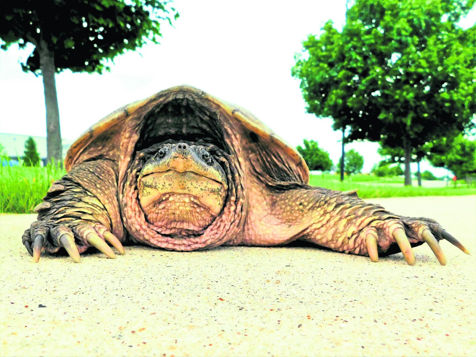 Write the caption | Tri-state News | telegraphherald.com