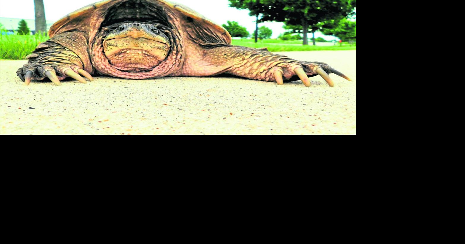 Write the caption | Tri-state News | telegraphherald.com