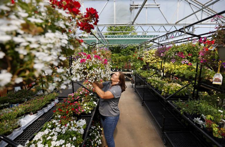 Faces in Business: Stacy Rapp, marketing and communications manager ...