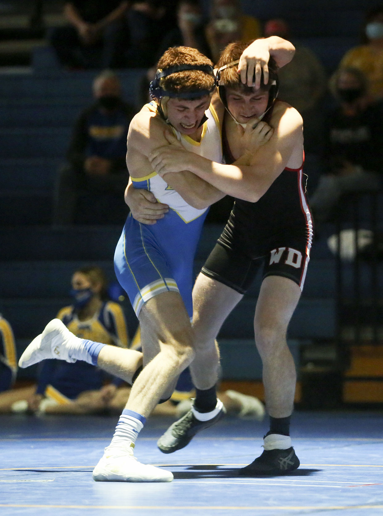 Prep wrestling: Western Dubuque cruises past Wahlert | Local Sports ...