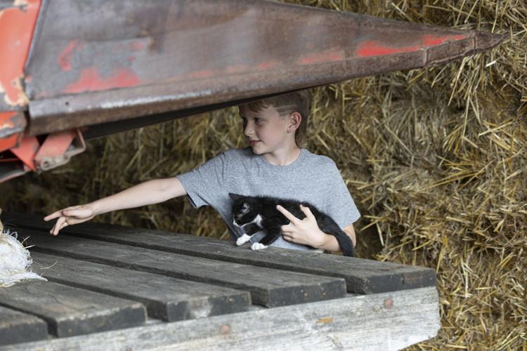 Farm Family of the Year: Berning Family Farm (Dairy ...