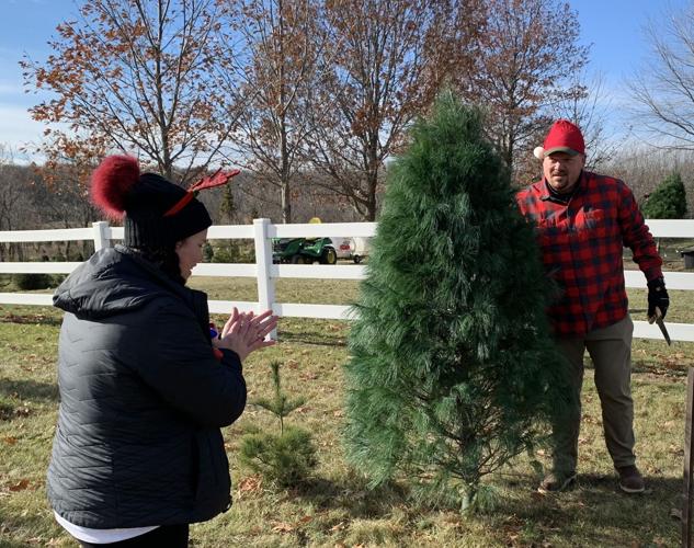 'Favorite time of the year' as families select Christmas trees at farm ...