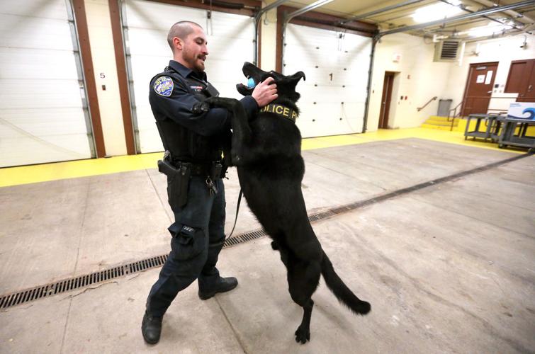 Dubuque police log increase in use-of-force incidents, but still ...