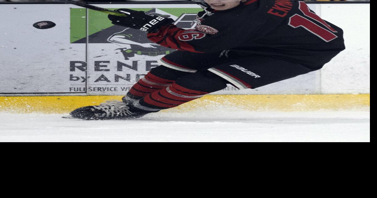 USHL: Ekman continues Saints' recent Swedish pipeline to college ...