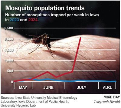 Wet weather enabling 'exponential' Iowa mosquito population growth this ...