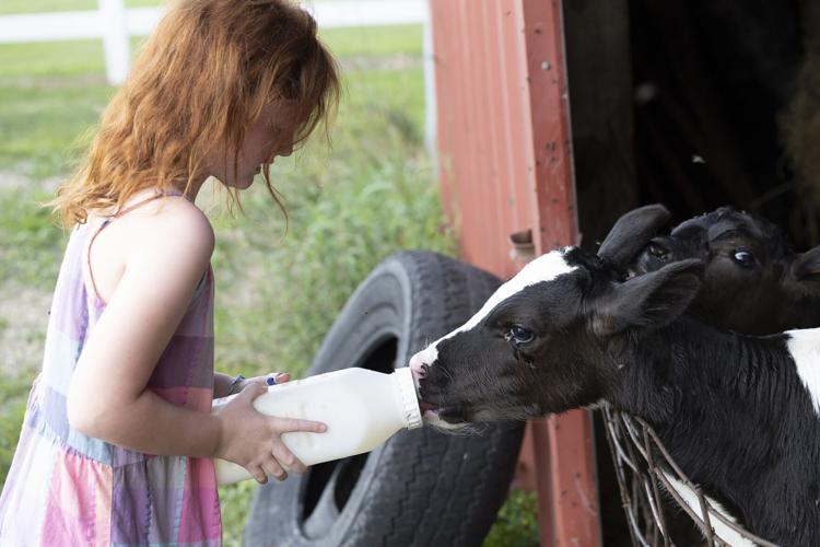 Farm Family of the Year: Berning Family Farm (Dairy ...