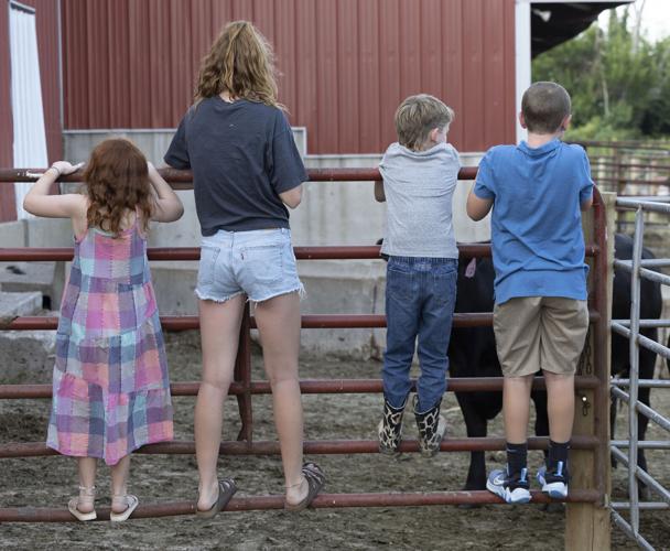Farm Family of the Year: Berning Family Farm (Dairy ...