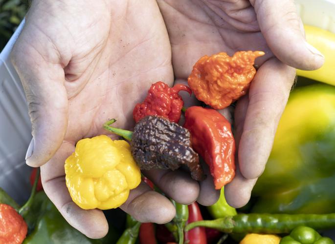 Homegrown: 'Pepper Guys' bring heat to Galena Farmers Market | Tri ...