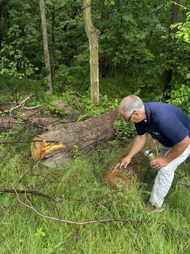 Invasive species are spreading in Northeast Iowa. How can Dubuquers ...