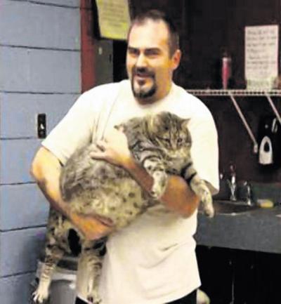 Arizona shelter has 36-pound cat | Features | telegraphherald.com