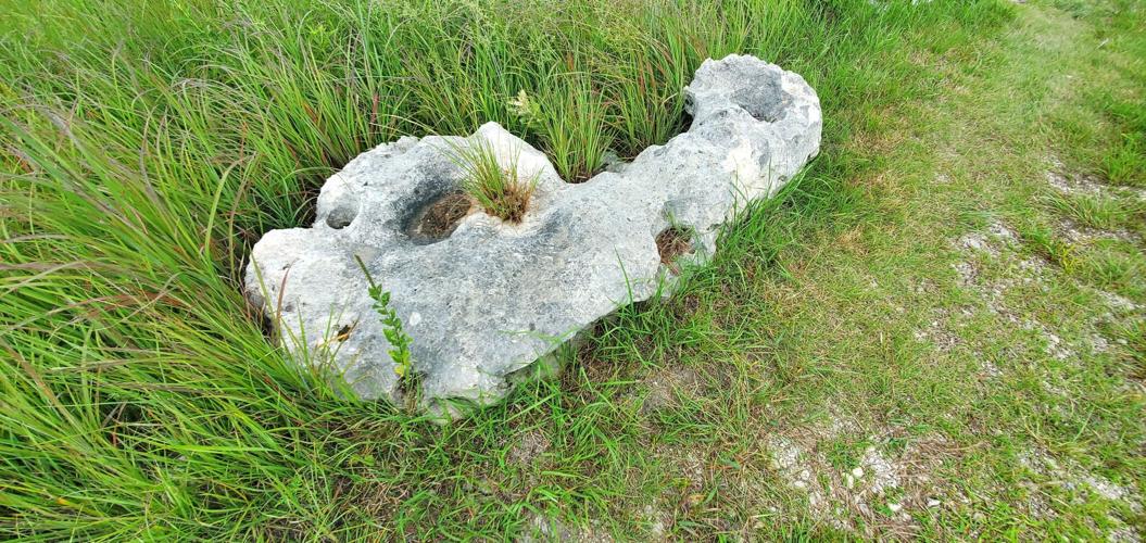 Koch: There's more than limestone just below the surface at Kansas ...