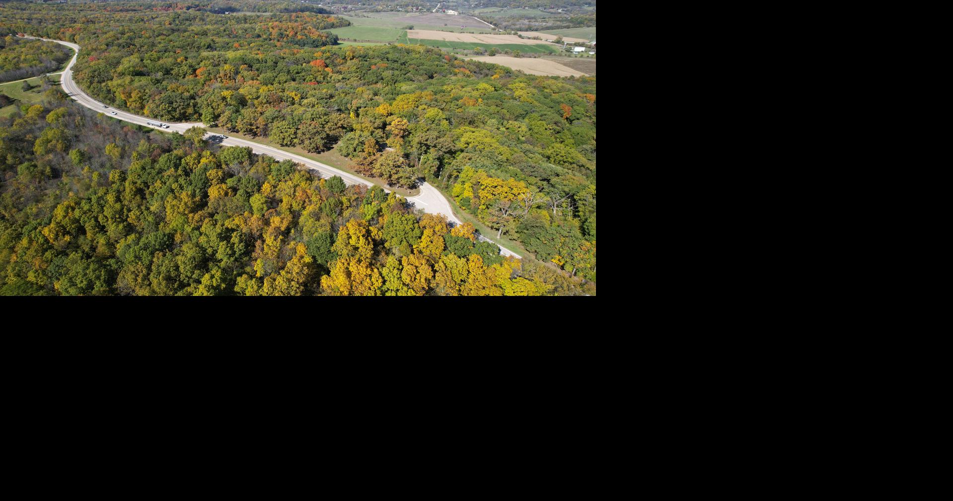 Tapley Woods a hidden gem in Jo Daviess County | Features ...