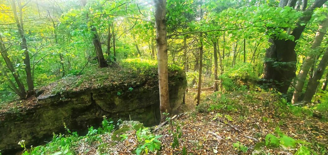 Koch: An autumn excursion into Witkowsky Wildlife Area | Features ...
