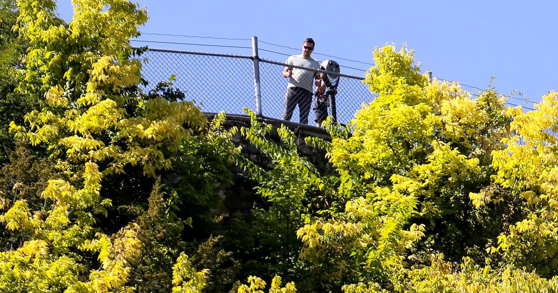 Eagle's overlook | Tri-state News | telegraphherald.com