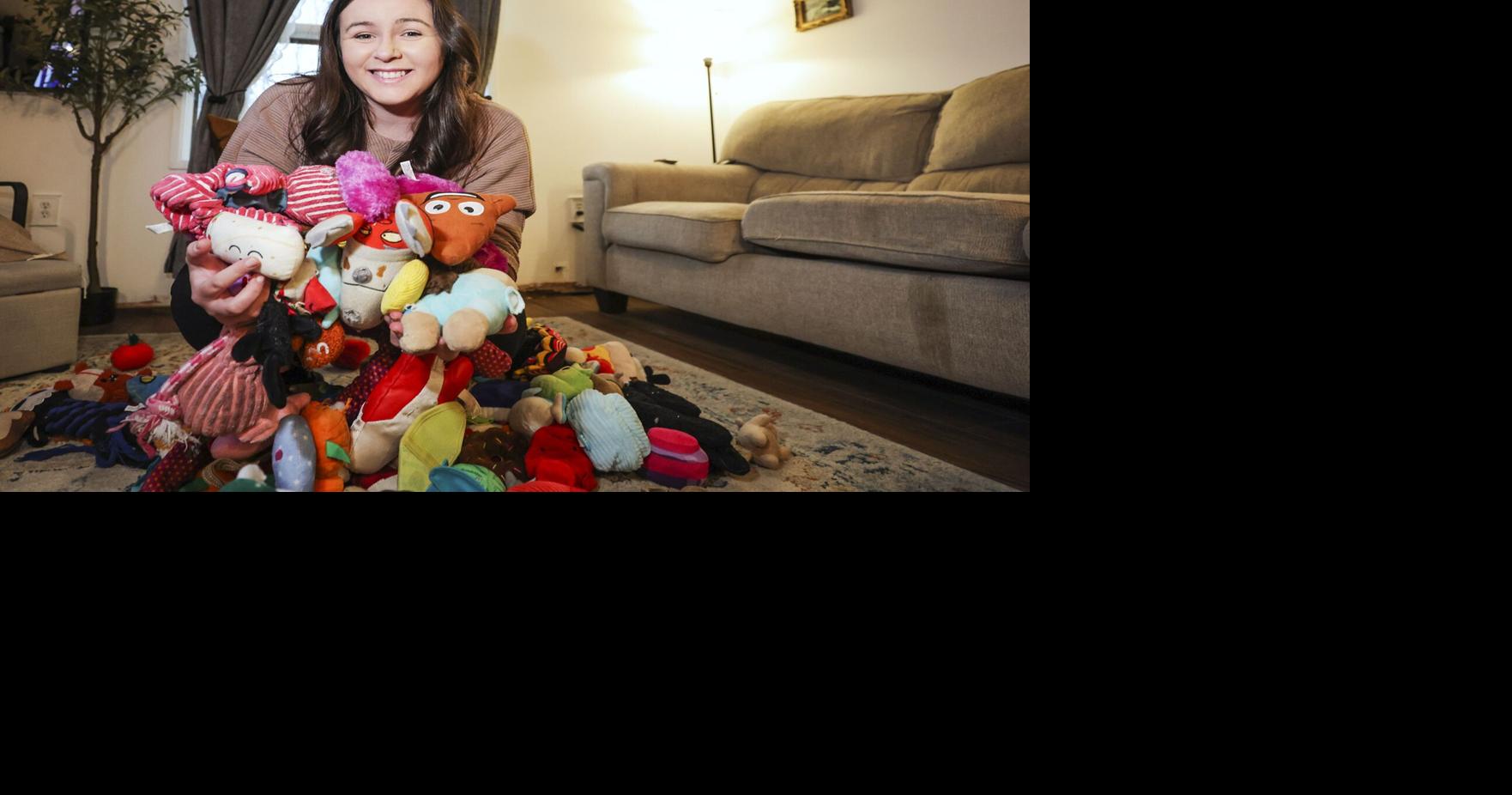 Pet toys | | telegraphherald.com