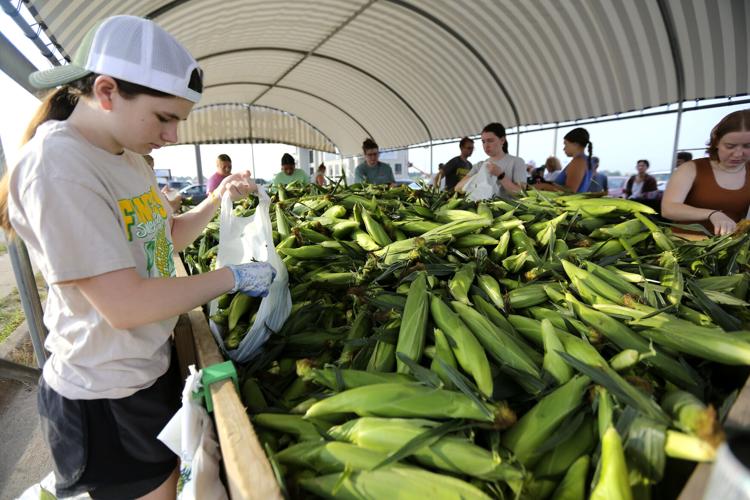 'I've been buying it forever': First batch of Fincel's Sweet Corn draws ...