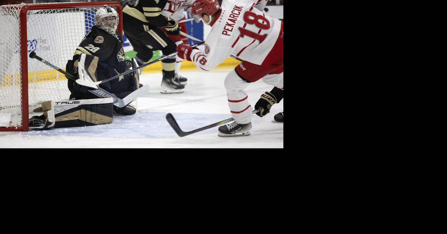 USHL: Clark Cup Final features top two regular-season teams | Local ...