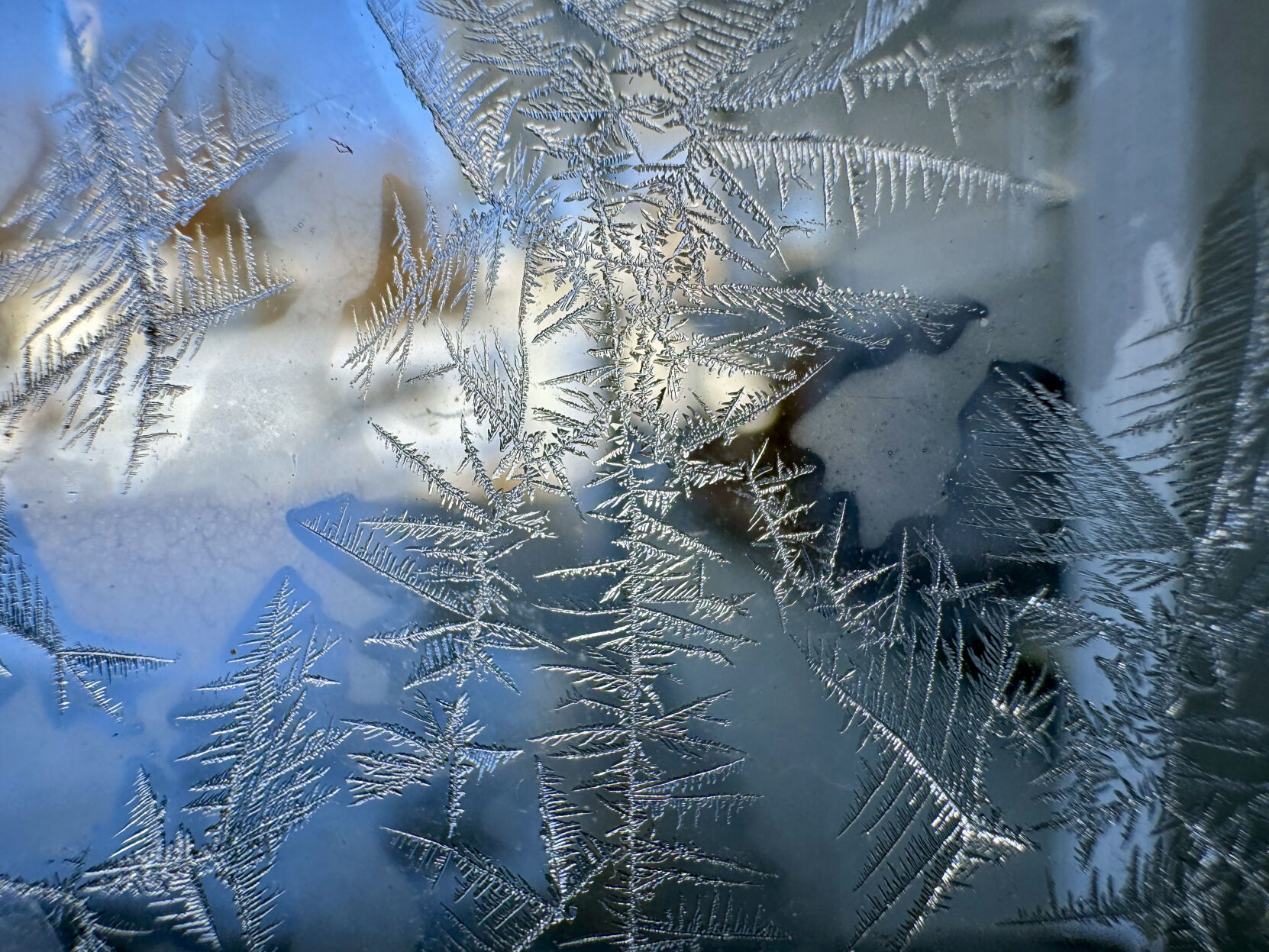 Chilling scene | Tri-state News | telegraphherald.com