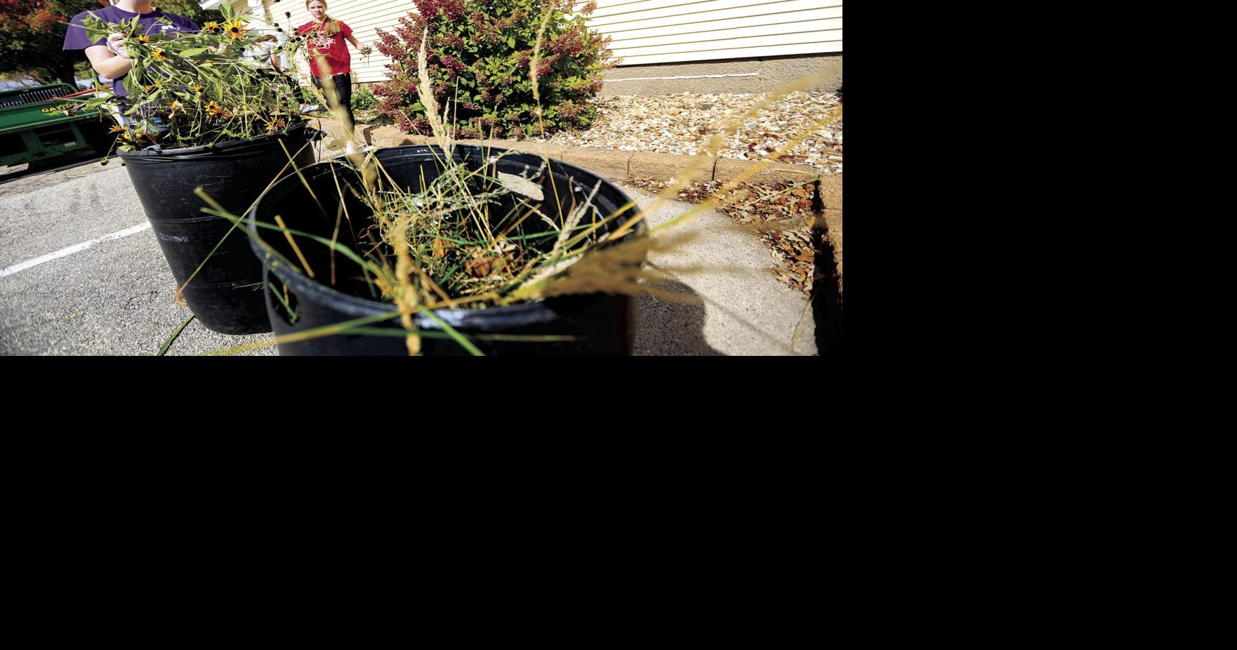 'Show you care:' Over 100 WD students participate in fall service day ...