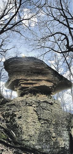 Koch: Mounds of Driftless Area | Features | telegraphherald.com