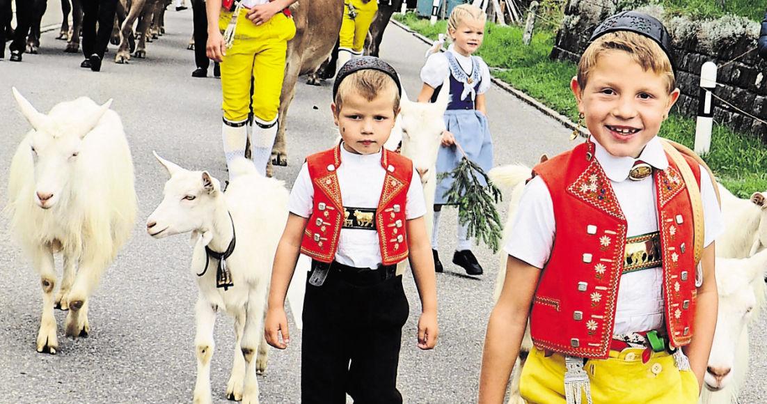 Swiss celebrate cows' return | Features | telegraphherald.com