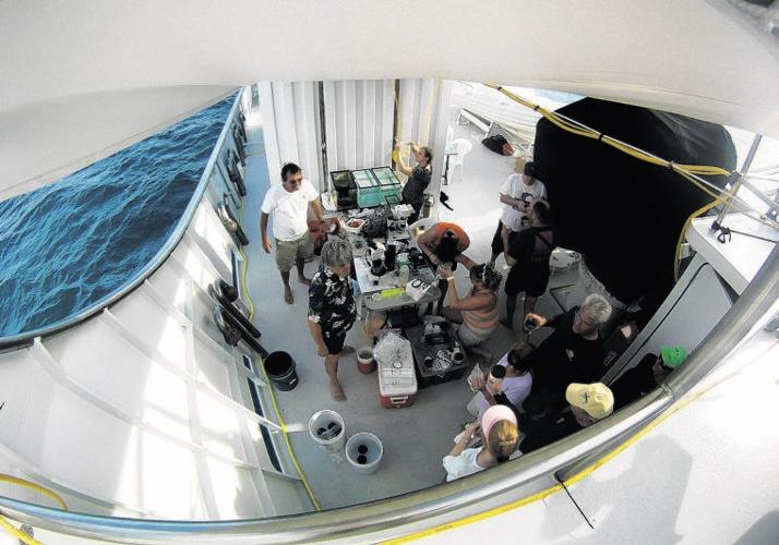 Unique floating laboratory showcases 'aliens of the sea' | Technology ...