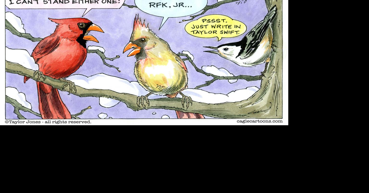 Jones: Taylor for president | Opinion | telegraphherald.com