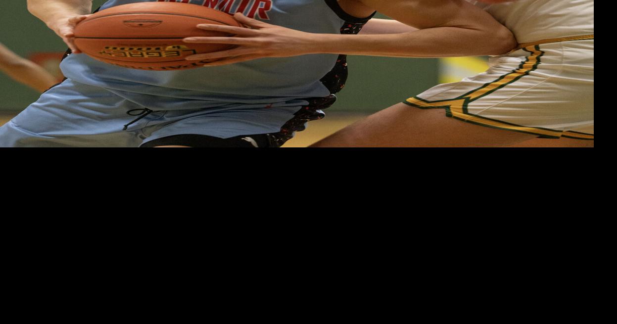 Boys prep basketball: Schultz sets sights on bigger goals after ...