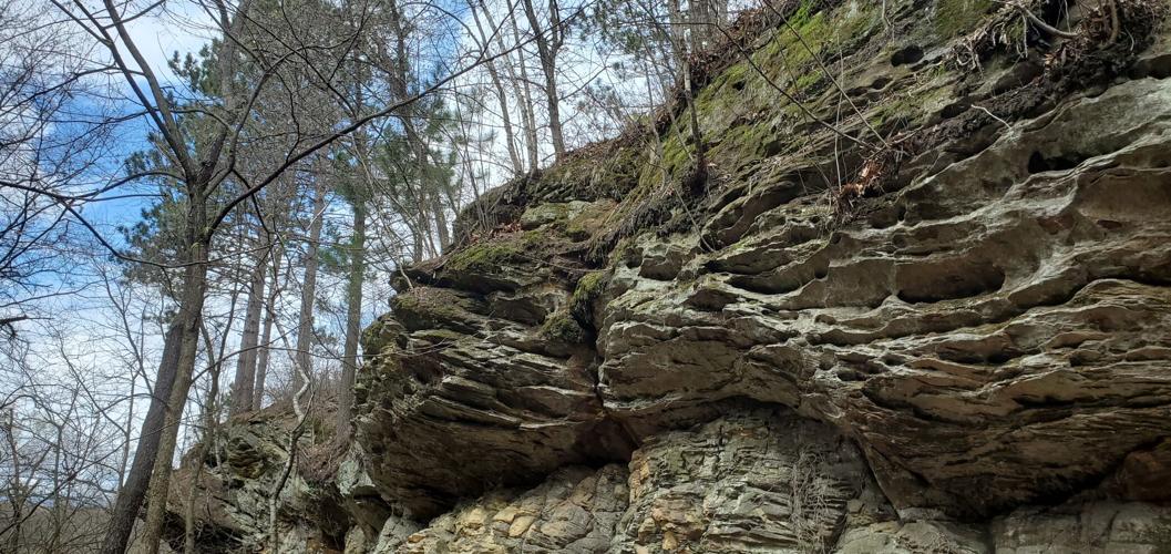 Koch: Serving the land, serving the people: Driftless Area Land ...