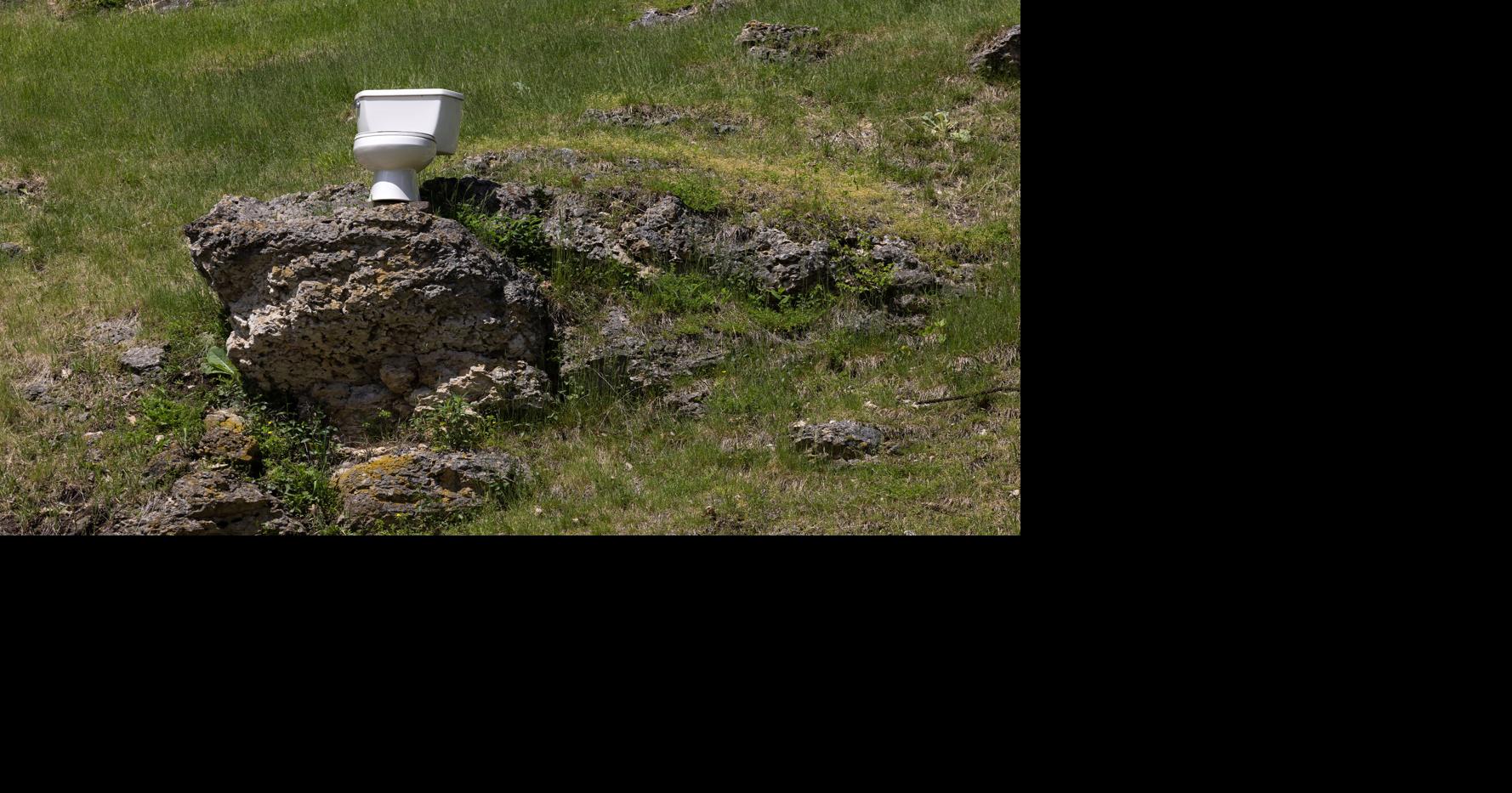 Precarious perch | Tri-state News | telegraphherald.com