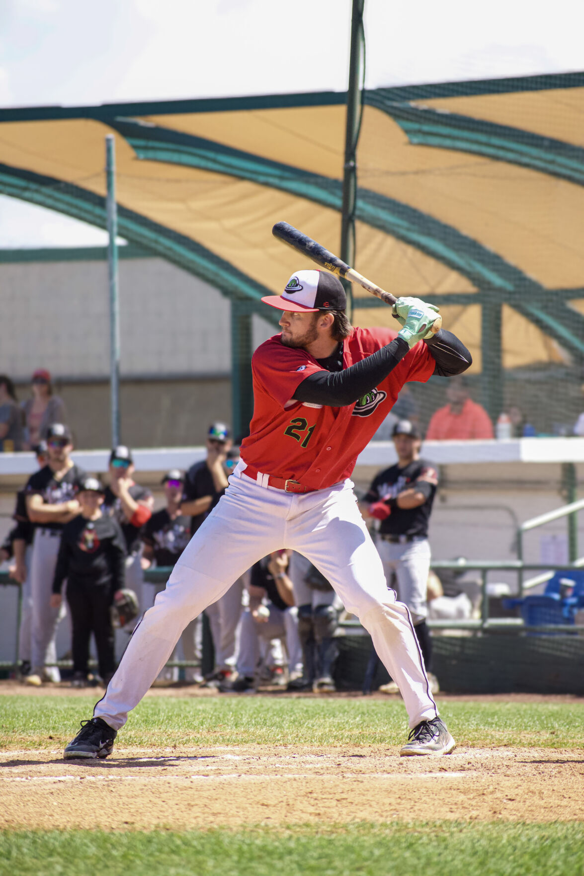 Professional baseball: Specht rebounds with stellar year at Great Falls ...
