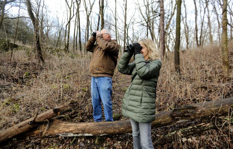 Volunteers embark on avian adventure in annual bird count | Tri-state ...