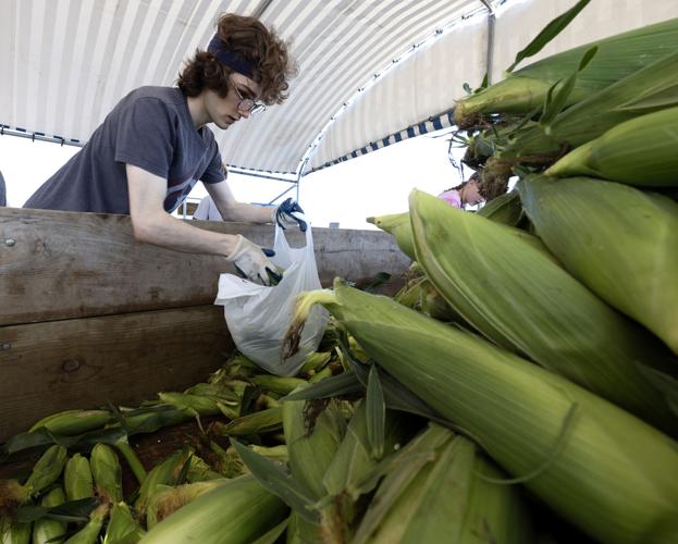 1st day of Fincel's Sweet Corn in Dubuque draws early-rising fans | Tri ...