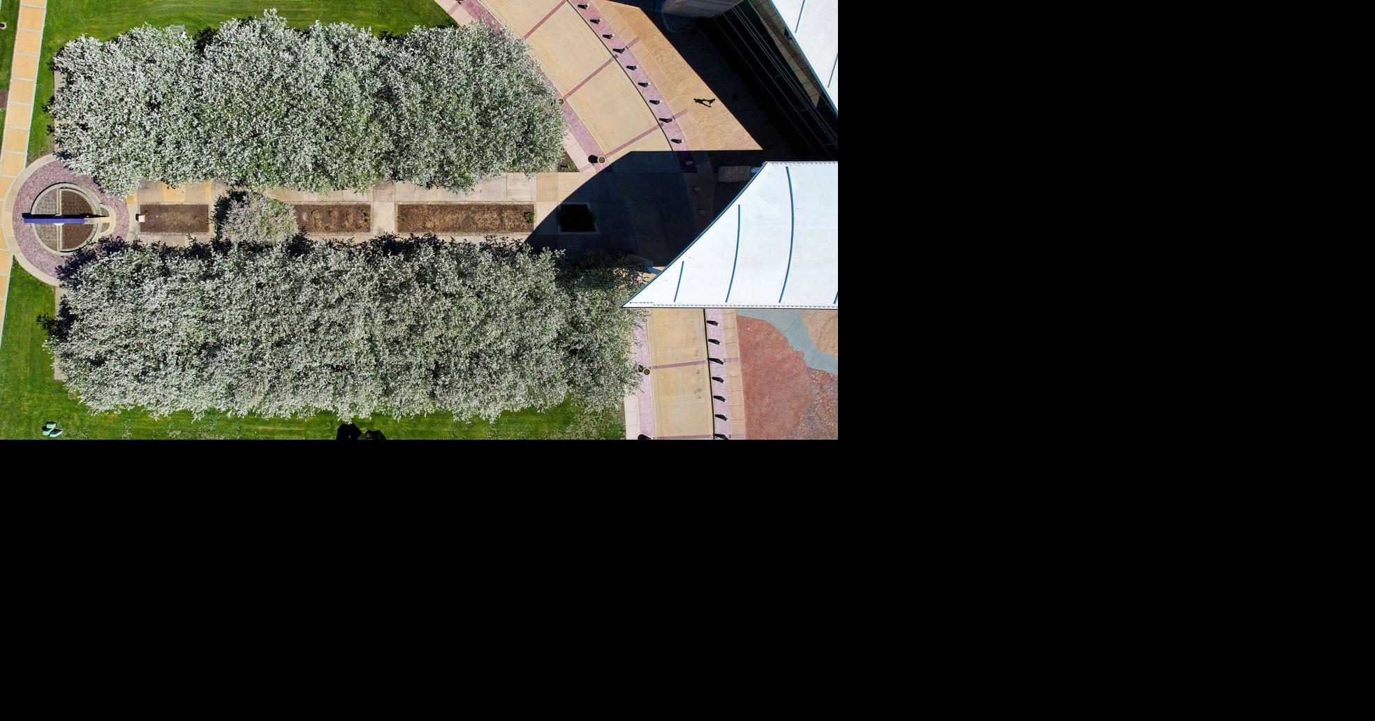 View from Above: Green Gauntlet | Tri-state News | telegraphherald.com