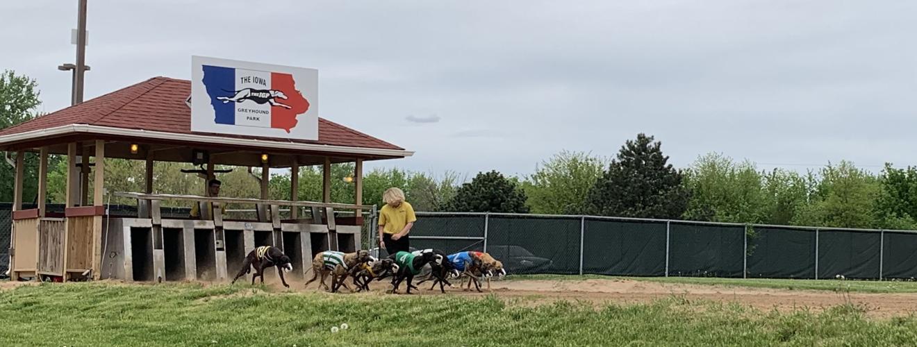 Chapter closes on greyhound racing in Dubuque on track's final day ...