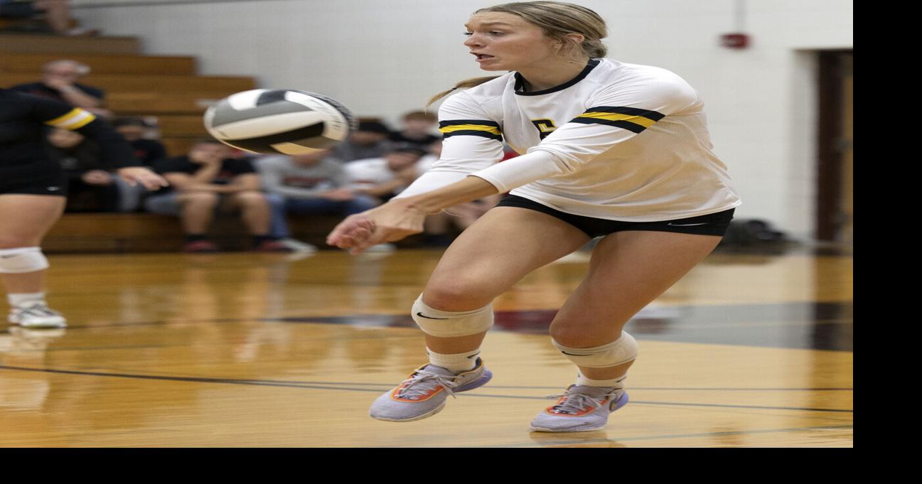 Telegraph Herald All-Area Volleyball: First-team capsules | Local ...