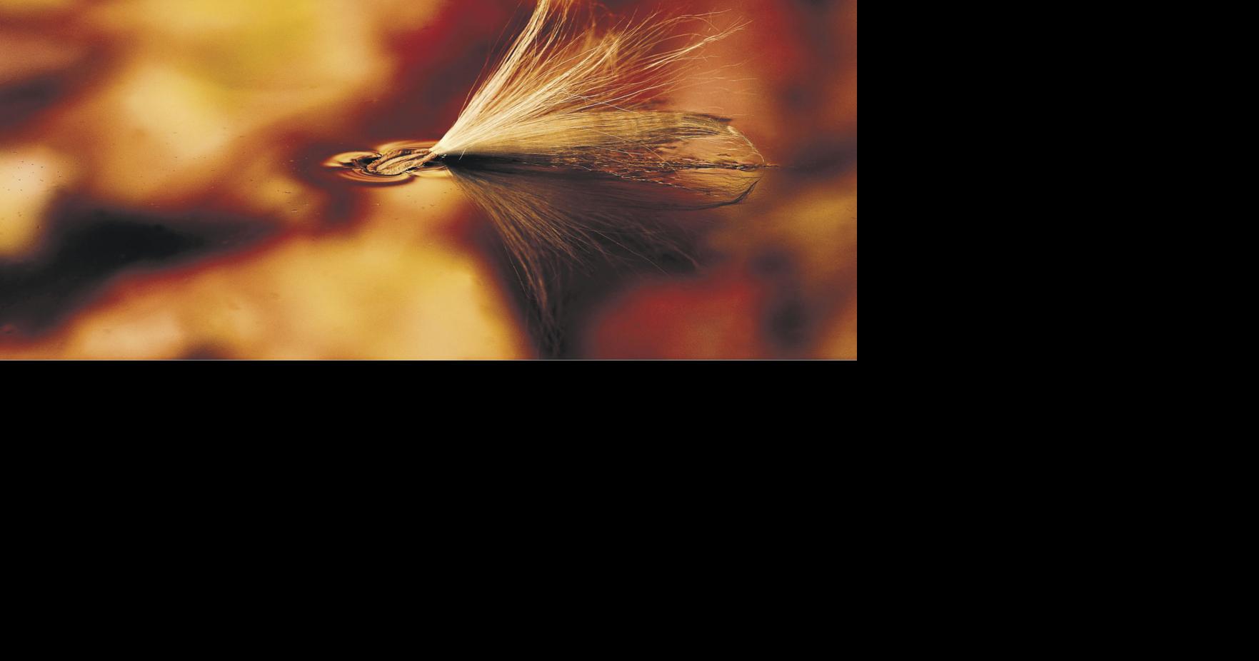 Introducing Stephen Gassman, the TH's newest photographer | Features ...