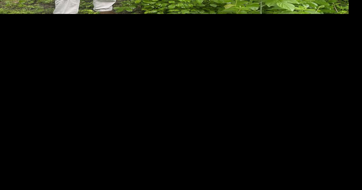 Invasive species are spreading in Northeast Iowa. How can Dubuquers ...