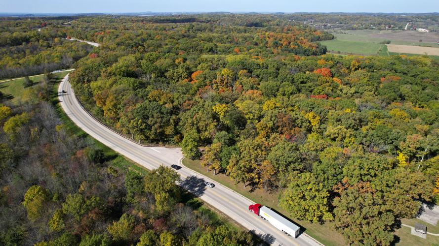 Tapley Woods a hidden gem in Jo Daviess County | Features ...