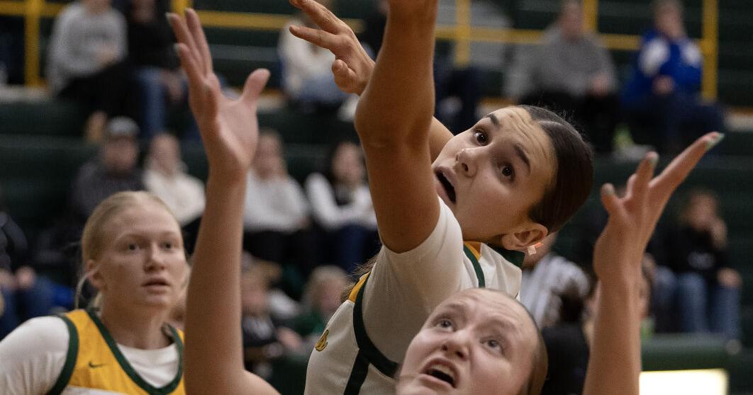 Girls prep basketball: Scheckel twins lead Bellevue over Beckman ...