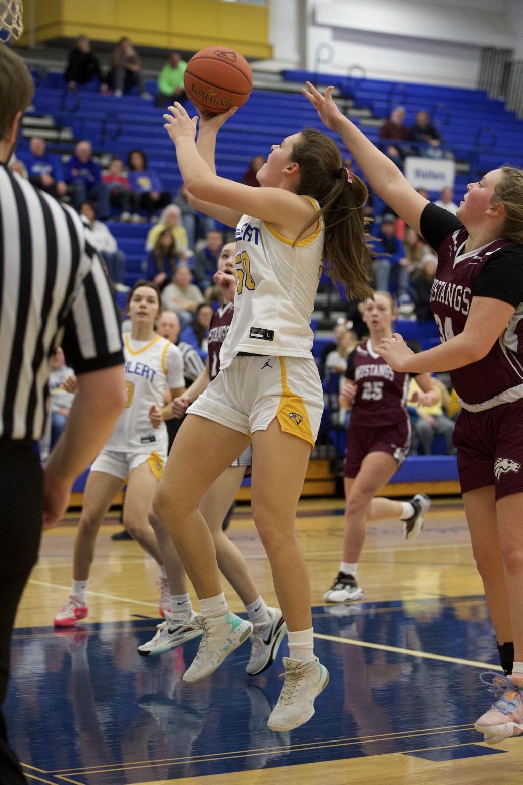 Girls prep basketball: Lueken hits 1,000 points as Wahlert wins ...