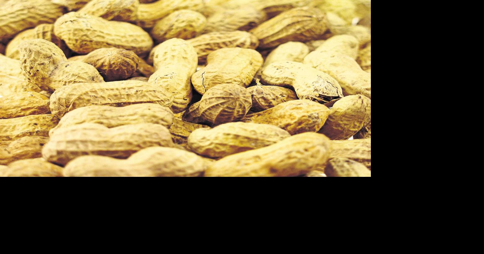 Kiwanis Club to host Peanut Days Sept. 18-19 | Dubuque News ...