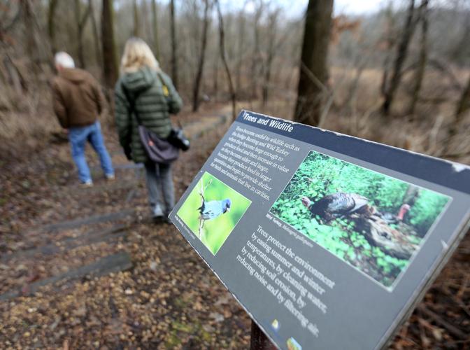 Volunteers embark on avian adventure in annual bird count | Tri-state ...